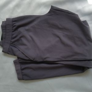 Alive | Pants | Alive Quick Dry Jogger | Poshmark